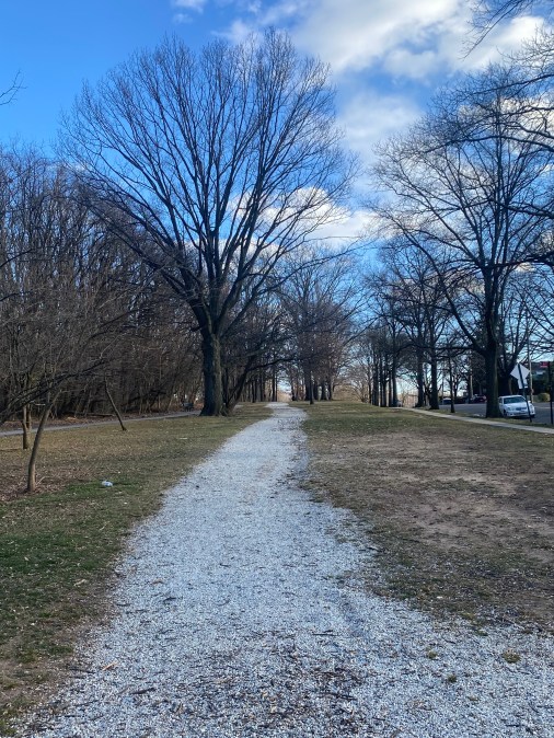 The NYC Parks Department Is Set To Improve Infrastructure at one of ...